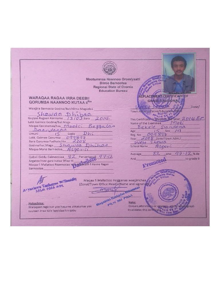 Moti Document | PDF