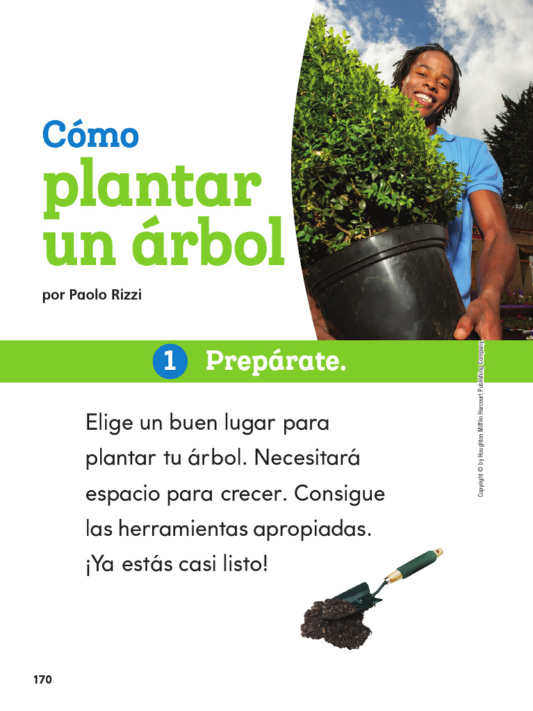 Como Plantar Un Arbol | PDF
