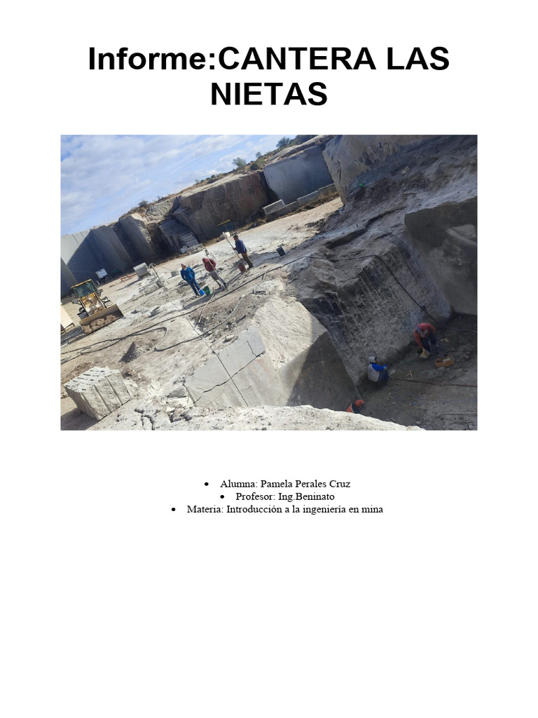 Informe La Cantera Las Nietas | PDF