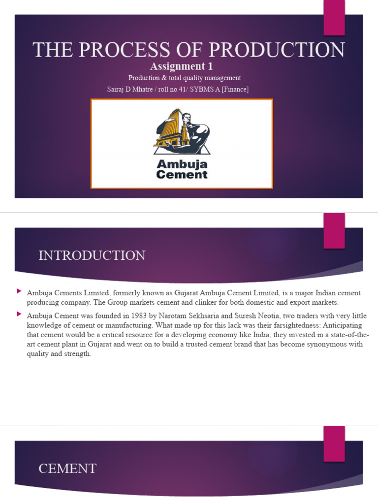 The Process of Production: Assignment 1 | PDF | Cement | Materials