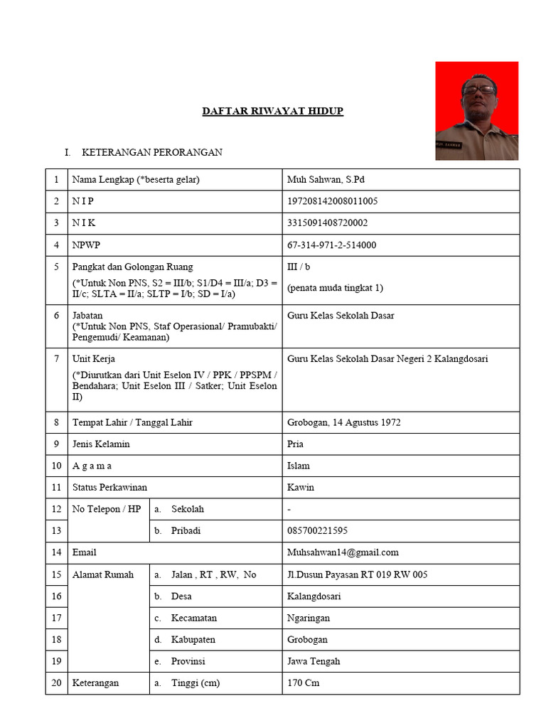 Contoh Daftar Riwayat Hidup PNS | PDF