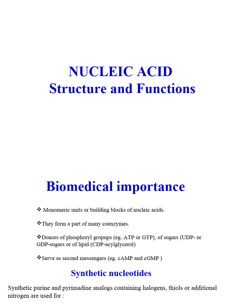 Nucleic Acid Structure and Function | PDF | Science & Mathematics