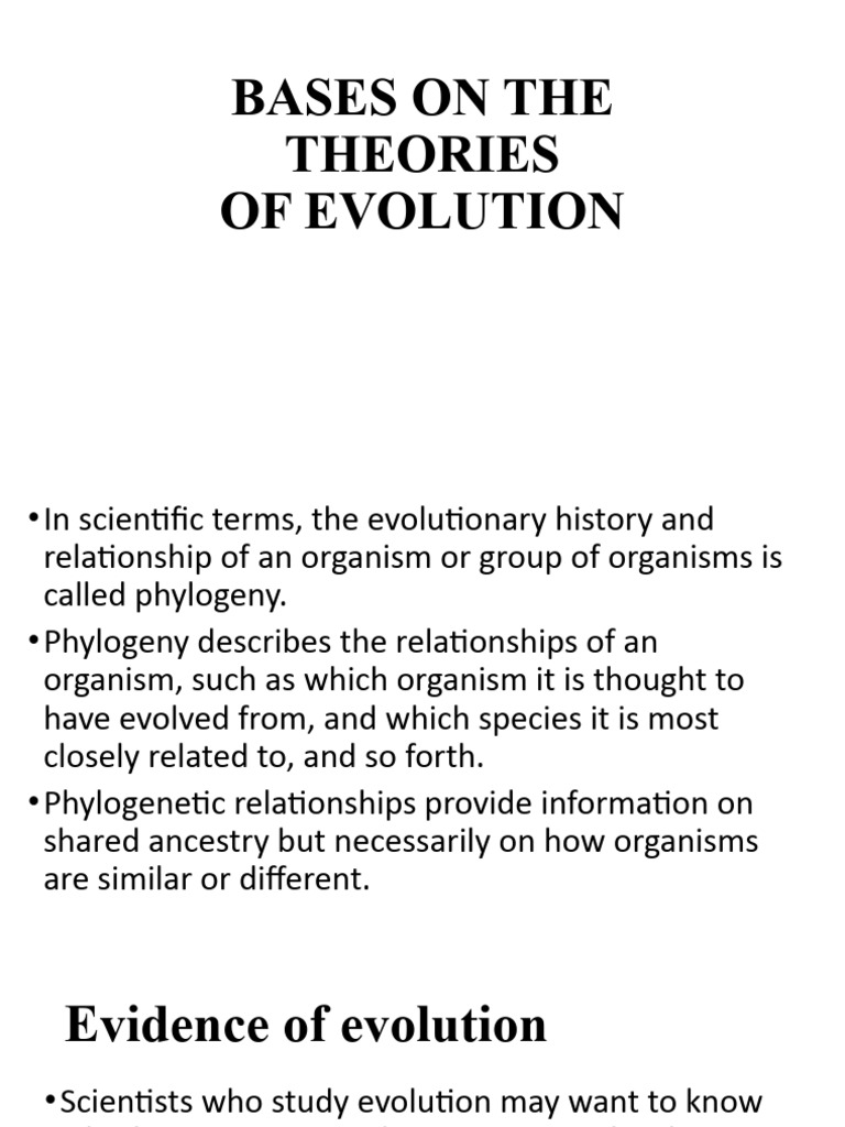 Evidence of Common Ancestry in Evolution | PDF | Evolution | Homology ...