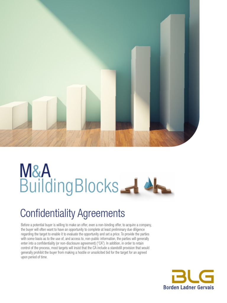 MandA Building Blocks MAR2017 | PDF