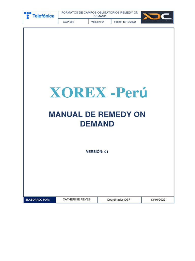 CGP-001 Manual Remedy On Demand | PDF | Tecnología de información y ...