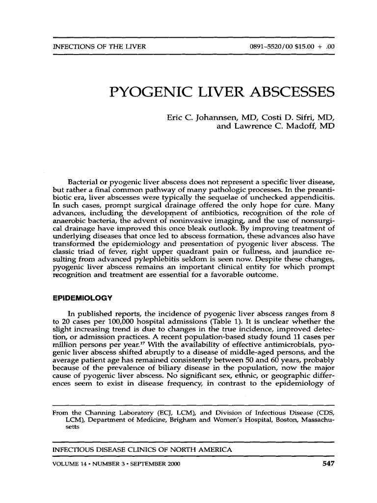Abses Hati Piogenik | Download Free PDF | Medical Imaging | Ct Scan