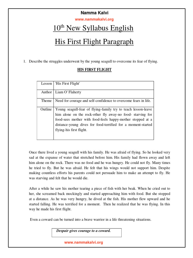 Young Seagull's First Flight Struggles | PDF