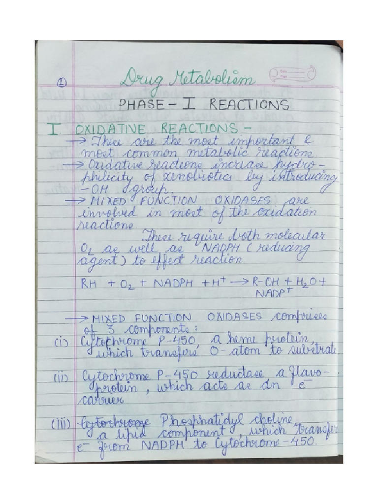 Phase I Reaction | PDF