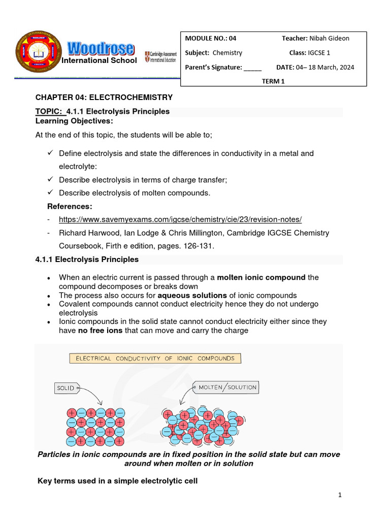 Chem Igcse 1 Module 4 Pdf Ion Anode