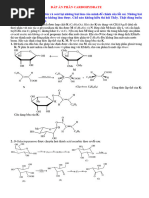 Chuyen de 2.1. Lien Ket Hoa Hoc Lewis VB Lai Hoa | PDF