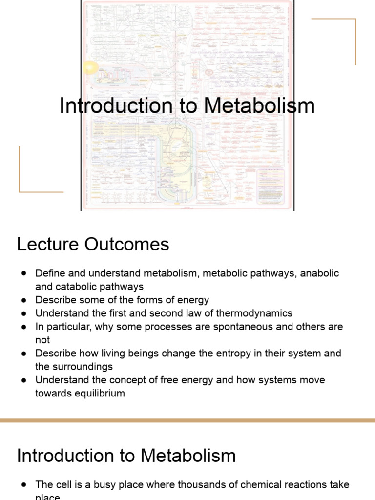 BIOL101 Ch6 Pt1 | PDF | Metabolic Pathway | Metabolism