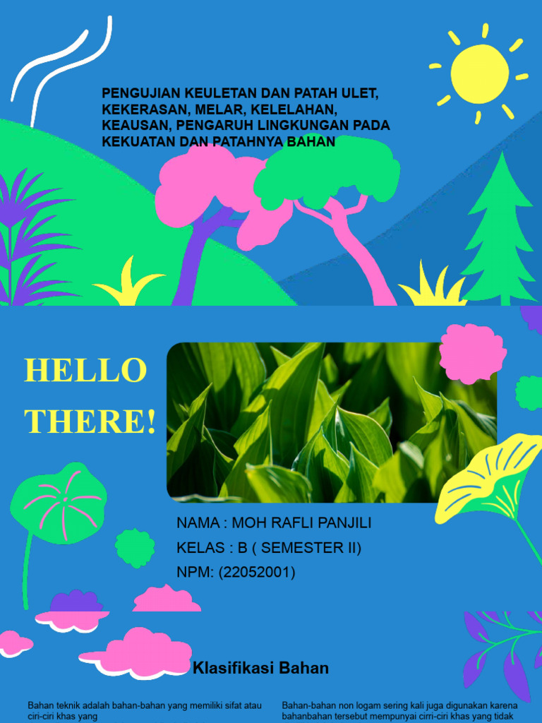 RAFLI | PDF | Seni | Sains & Matematika