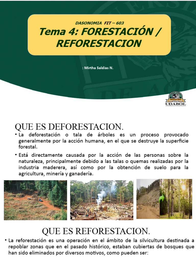 DASONOMIA - Tema 4.1 Reforestacion - Forestacion | PDF | Deforestación ...