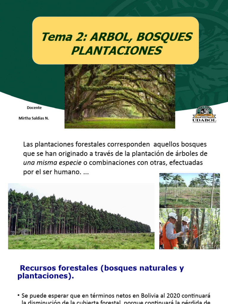 DASONOMIA_Tema 2. La Ordenacion. Arbol Bosques Plantacion | PDF | Los ...