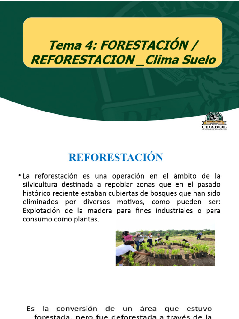 DASONOMIA - Tema 4.3 Reforestacion - Clima Suelo Especies | PDF ...