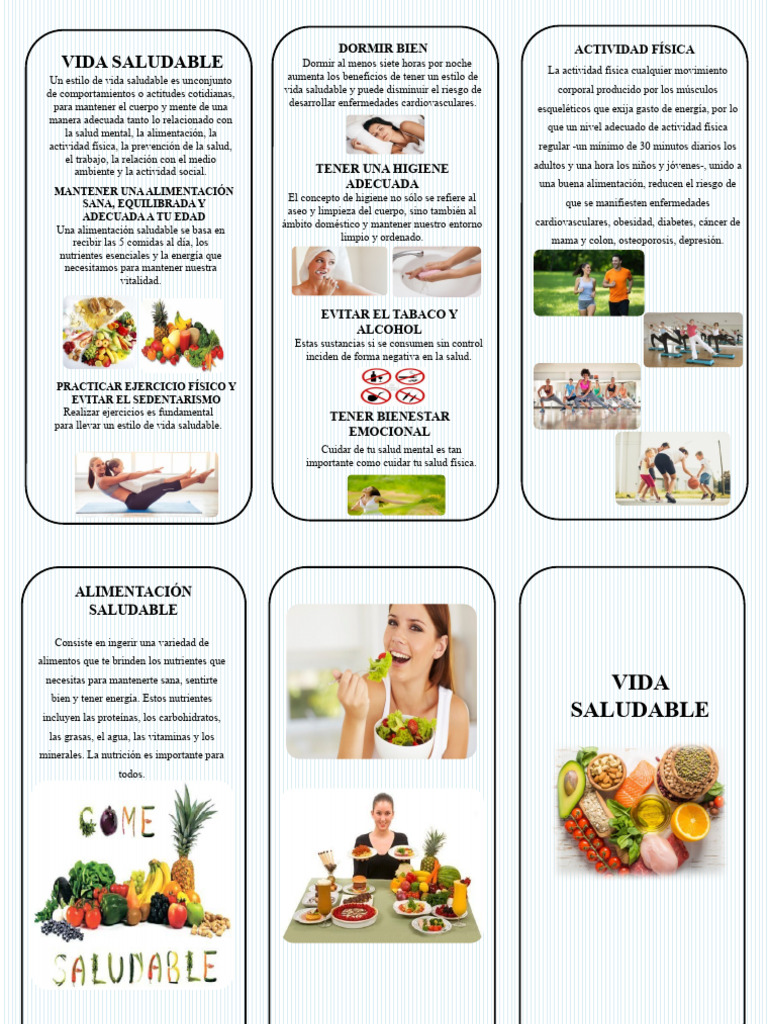 Triptico de La Vida Saludable 5 | PDF