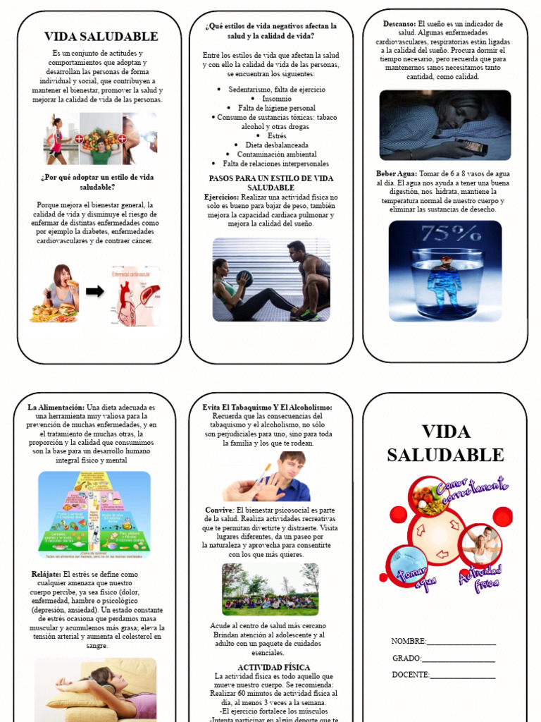 Triptico de La Vida Saludable 4 | PDF | Dieta | Medicina CLINICA