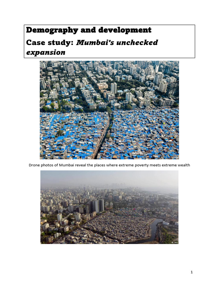 Demography and Development Student | PDF | Population Ageing | Slum