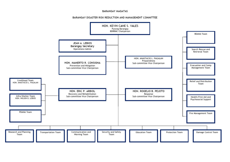 Barangay BDRRMC Organizational Structure | PDF | Emergency Management ...