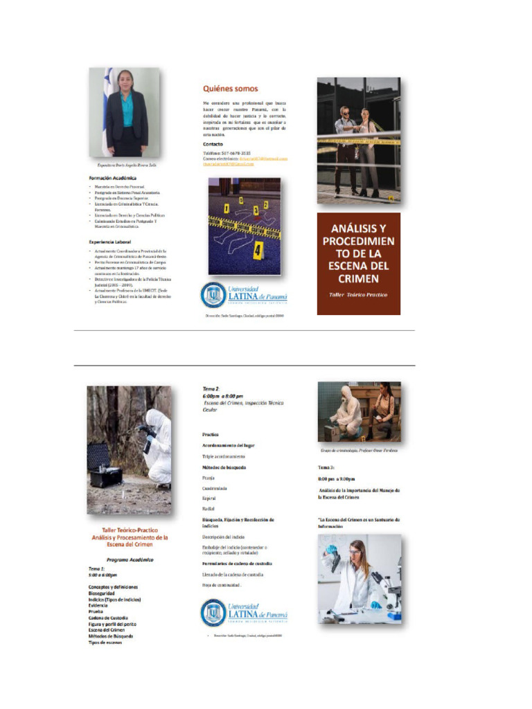 Modelo de Triptico | PDF