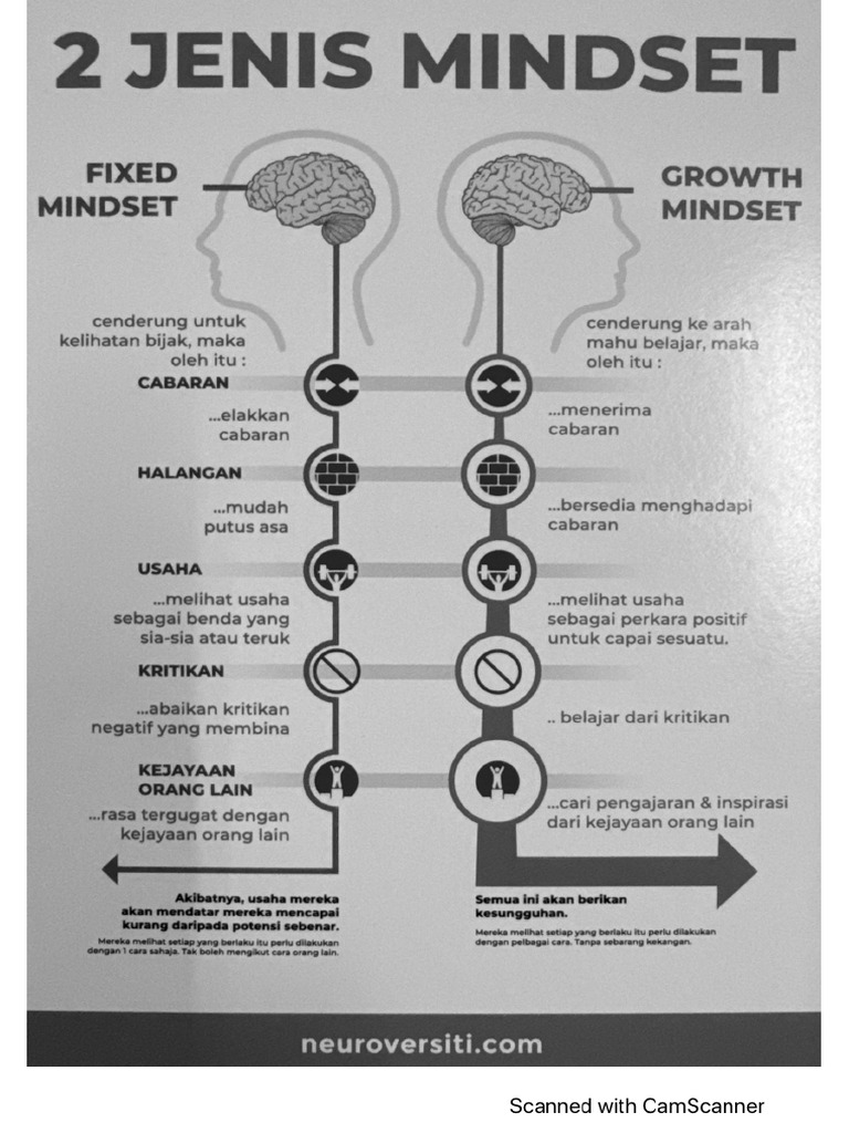 Jenis Mindset | PDF
