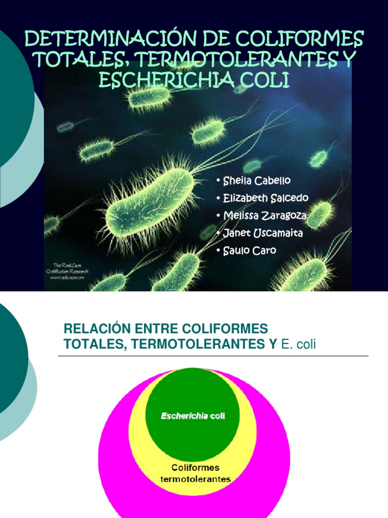 Determinación de Coliformes | PDF | Microorganismo | Procariota