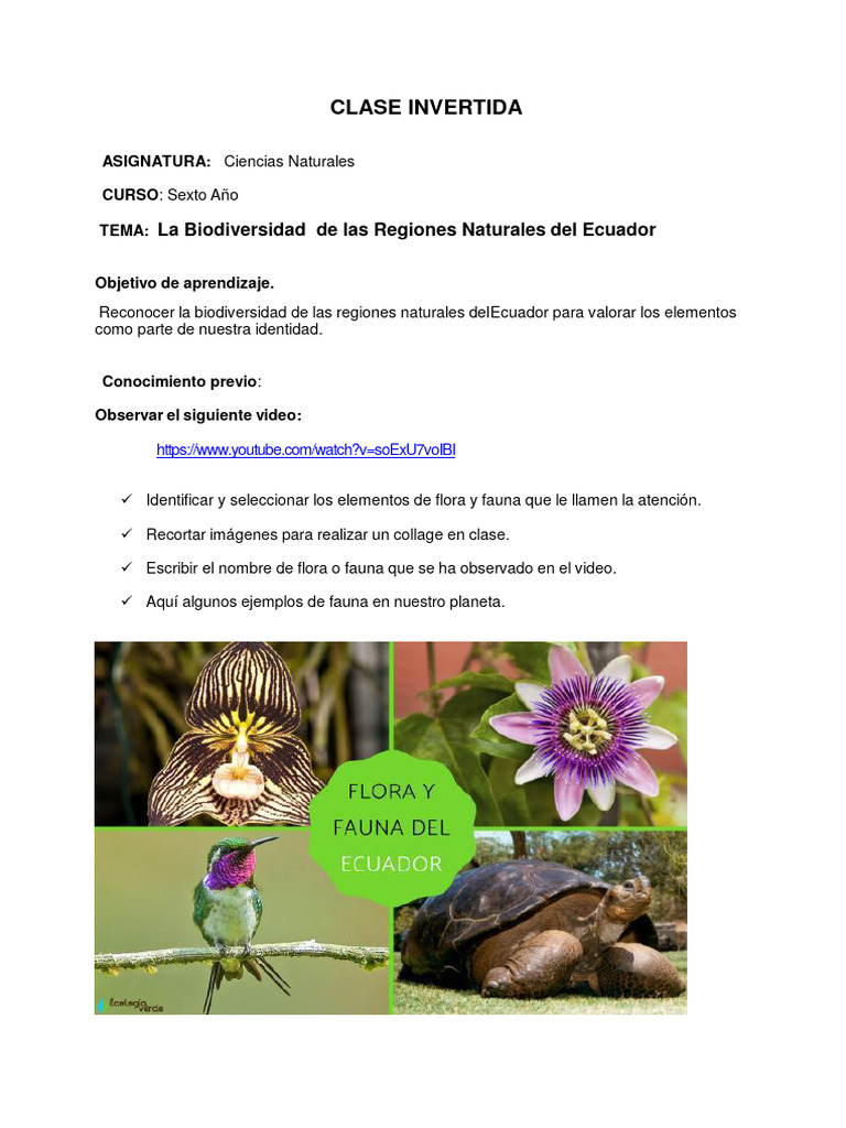 Clase Invertida | PDF