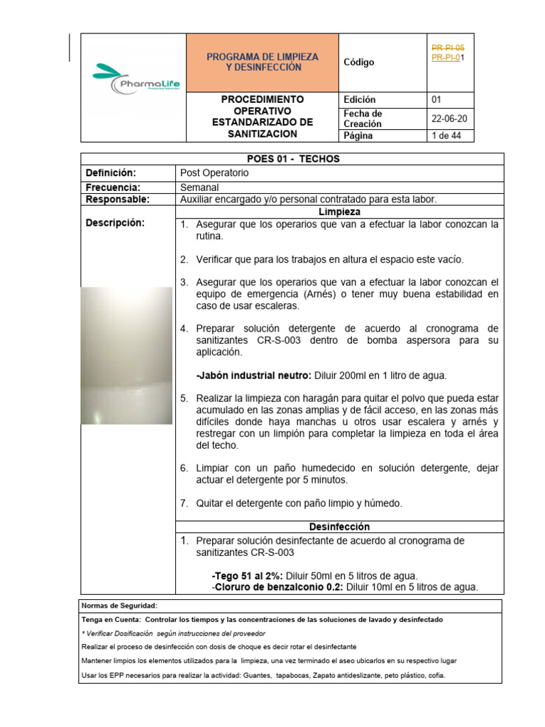 Poes - Actualizada | PDF