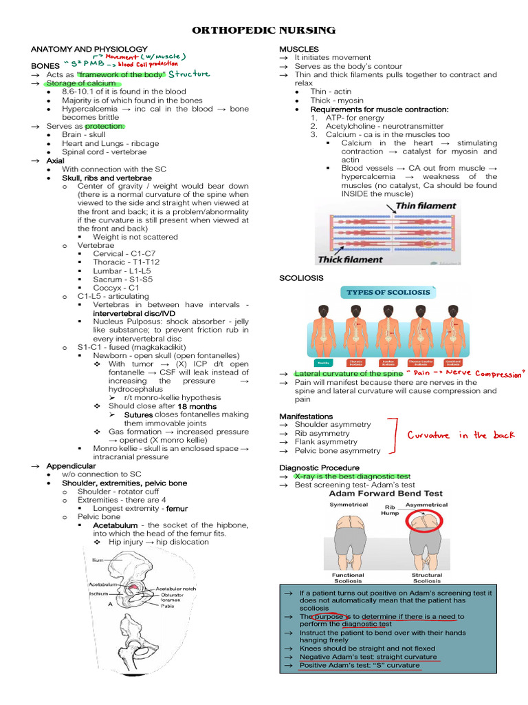 ORTHOPEDIC-NURSING | PDF | Vertebral Column | Bone