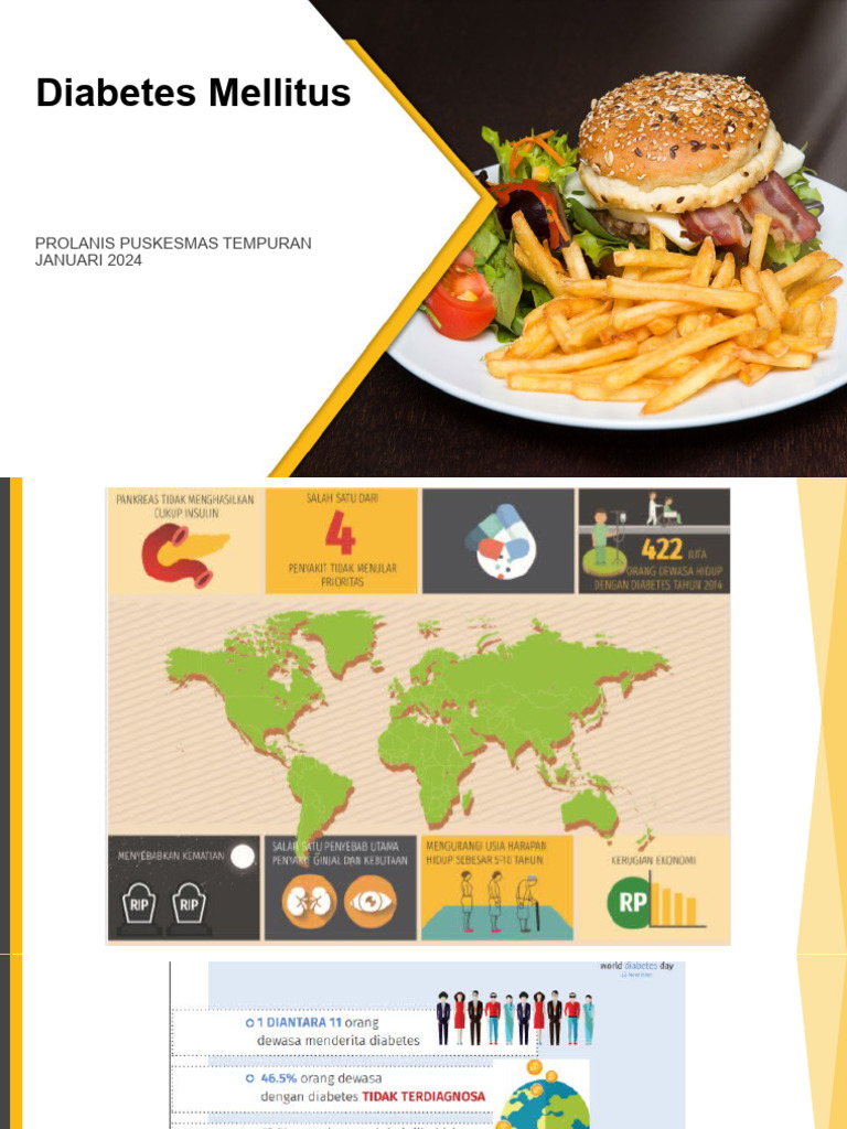 Prolanis DM Jan 2024 | PDF