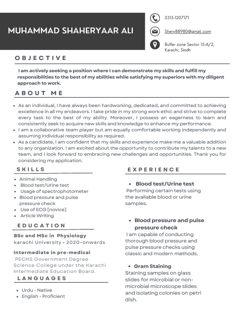 Black Grey Color Blocks Project Manager CV-2 | PDF
