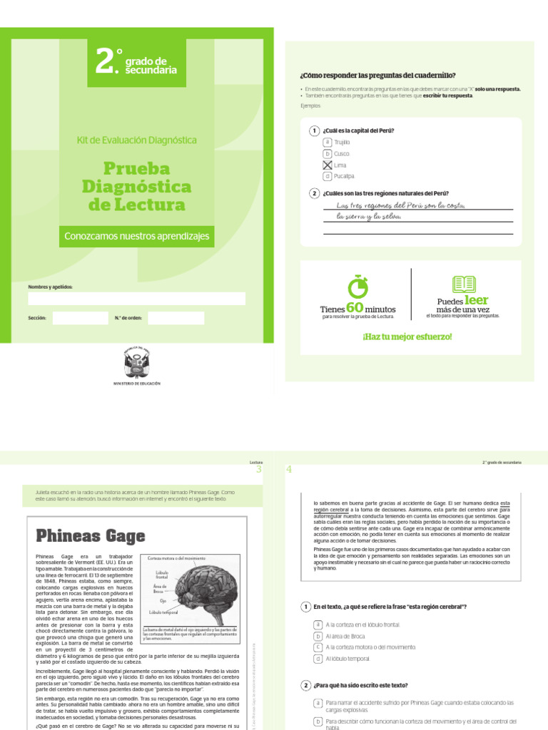 Prueba Diagn. Lectura Reducido 2° | PDF | Cerebro | Las emociones