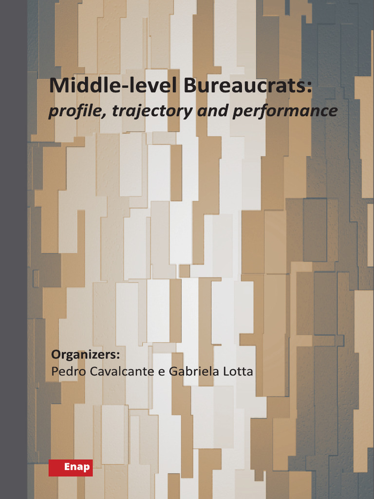 Middle-Level Bureaucrats in Brazil | PDF | Bureaucracy | Policy