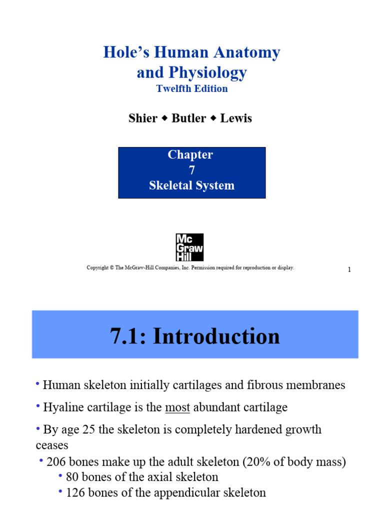 Chapt07 Holes Lecture Animation JWT | PDF | Bone | Skeleton