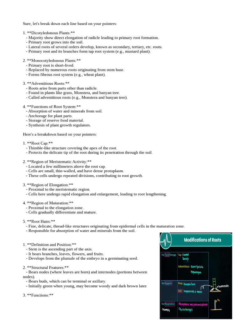 Morphology | PDF | Leaf | Petal