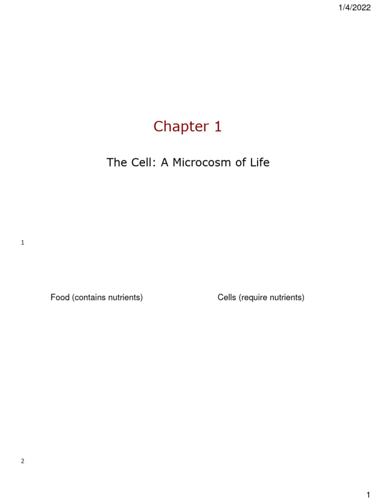 Chapter 1 - Cells | PDF | Endoplasmic Reticulum | Cell Membrane