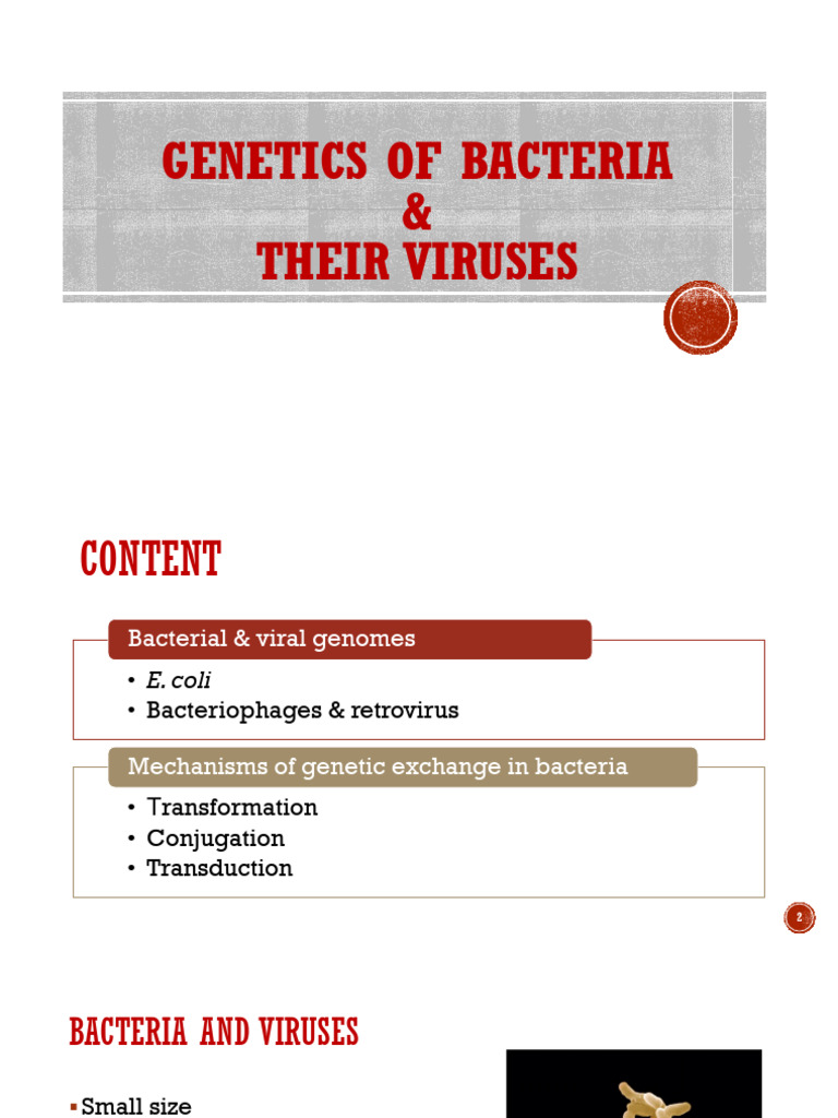 MG - Genetics of Bacteria Their Viruses - 1 Slide | Download Free PDF ...