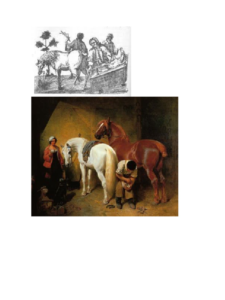 Imagenes Del Albitar Arabe | PDF