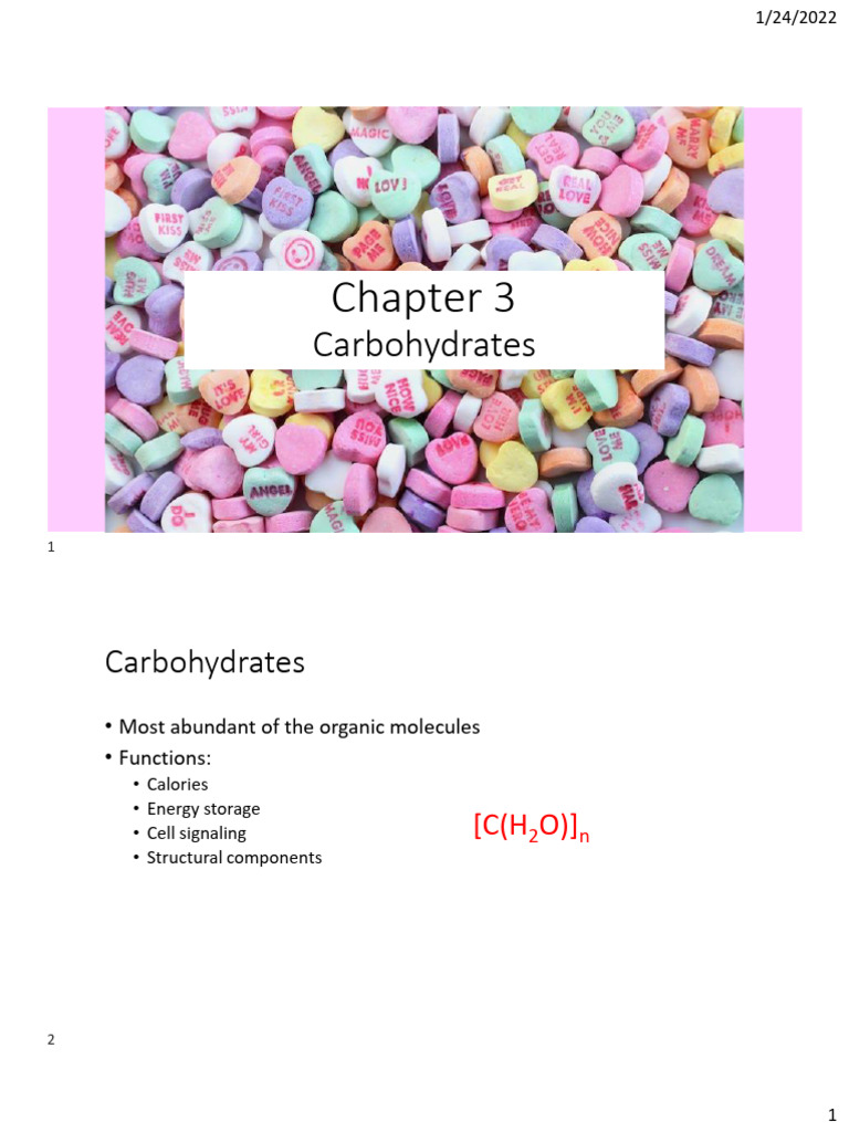 Chapter 3 - Carbohydrates | PDF | Carbohydrates | Glucose