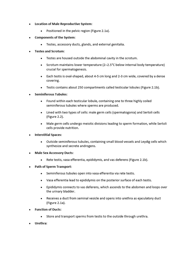 Sexual Reproduction In Humans Pdf Menstrual Cycle Testicle