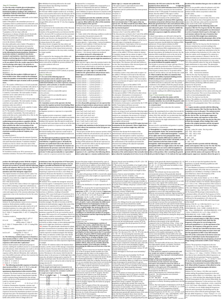 Genetics Final Review | Download Free PDF | Operon | Gene Genetics Final Review | Download Free PDF | Operon | Gene