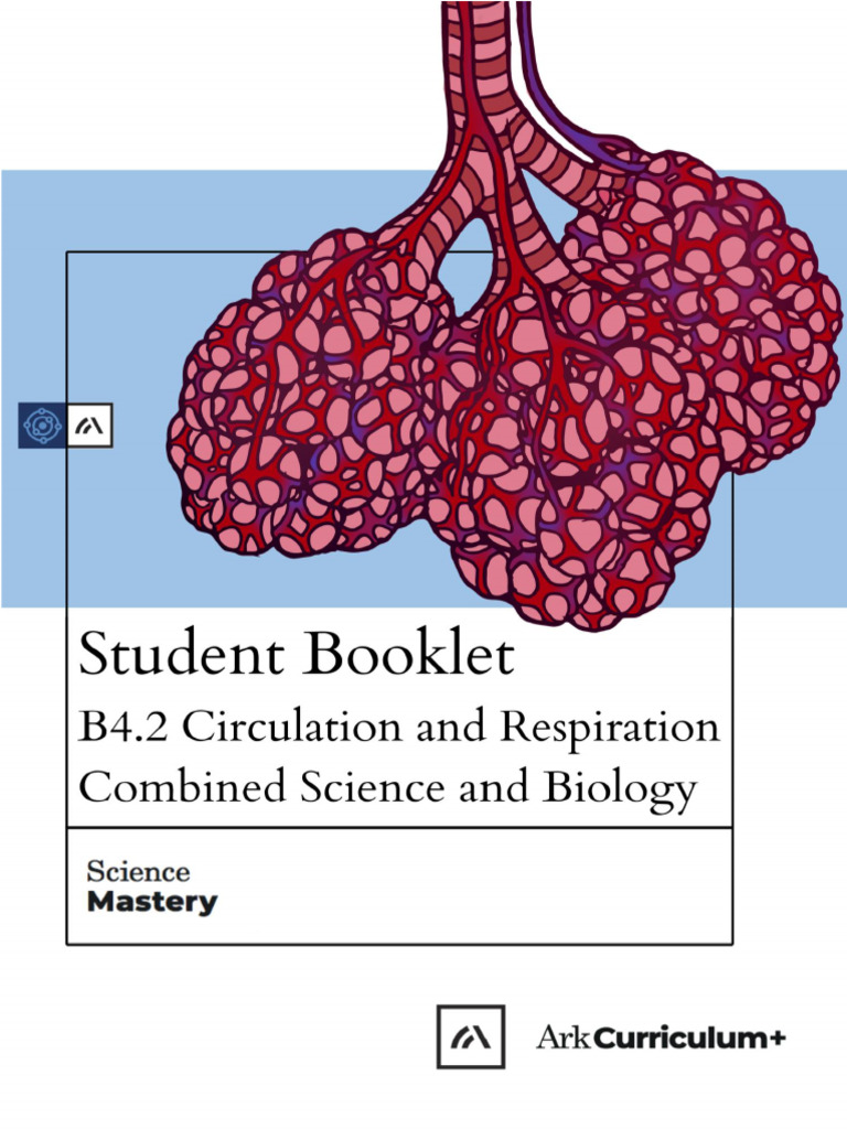 B4.2 Circulation Student Booklet | PDF | Heart | Artery