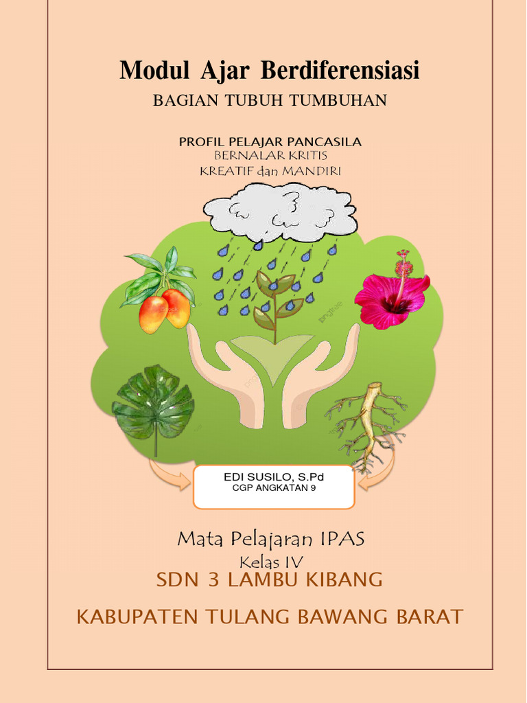 Modul Ajar - IPAS - Kelas 4 - Bagian Tubuh Tumbuhan - Berdiferensiasi ...