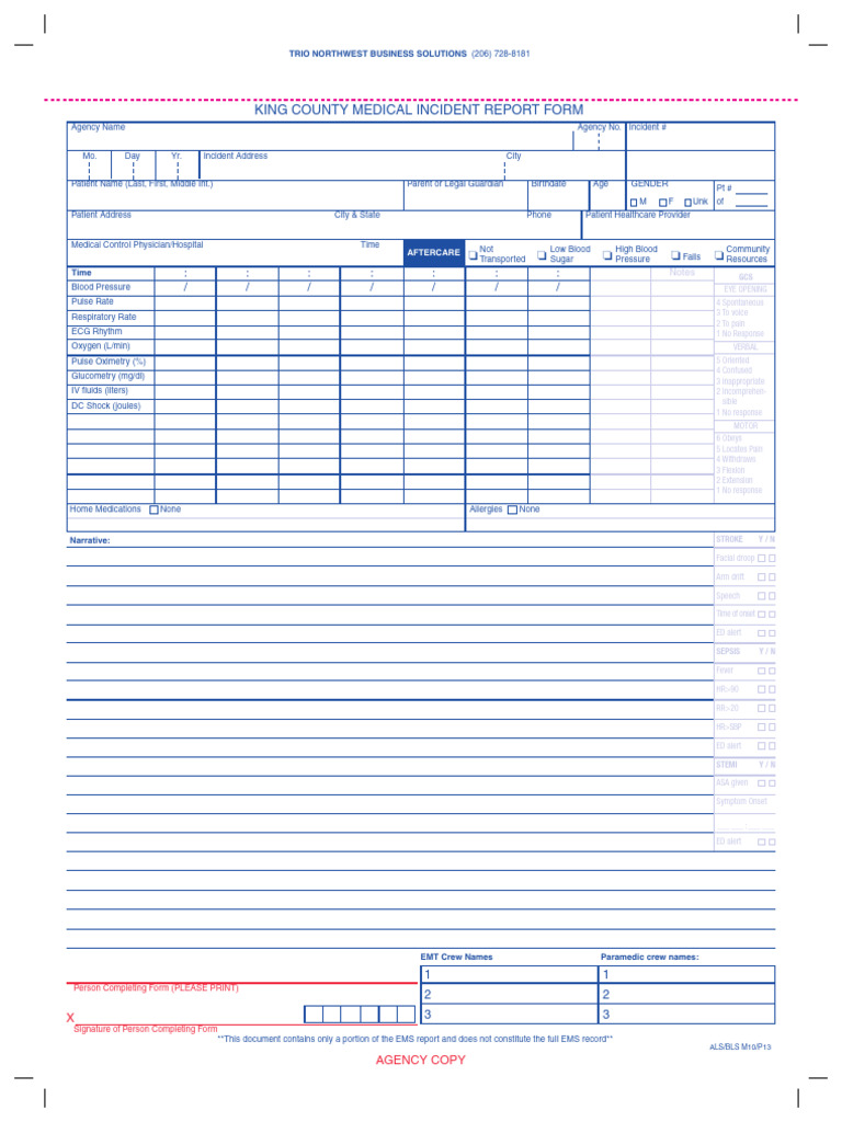 Medical Incident Report Form in PDF | PDF | Emergency Medical Services | Emergency Medical ...