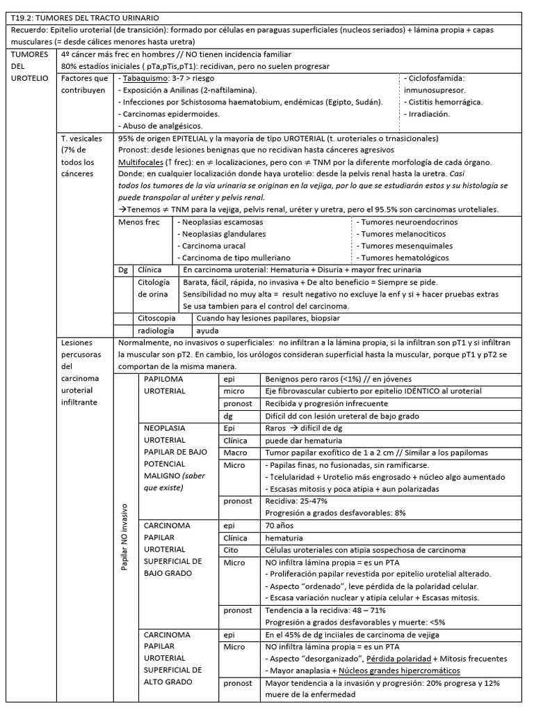 T19 2 | PDF | Cáncer | Anatomía