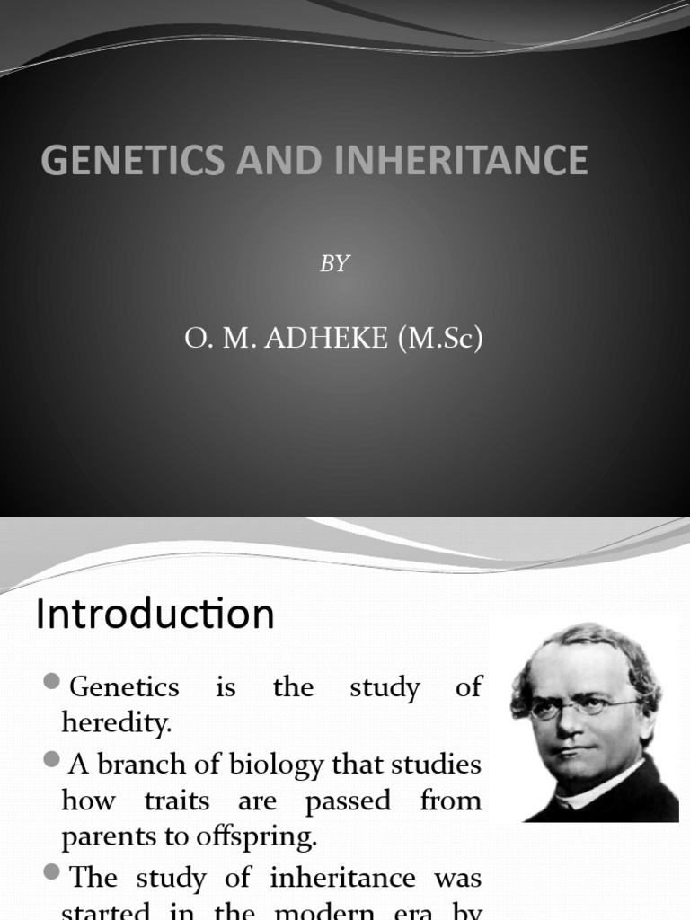 Genetics and Inheritance | PDF