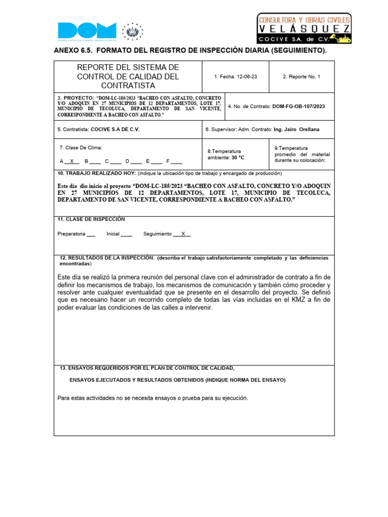 Formato Inf. Diario 12-06-23 | PDF | Tecnología