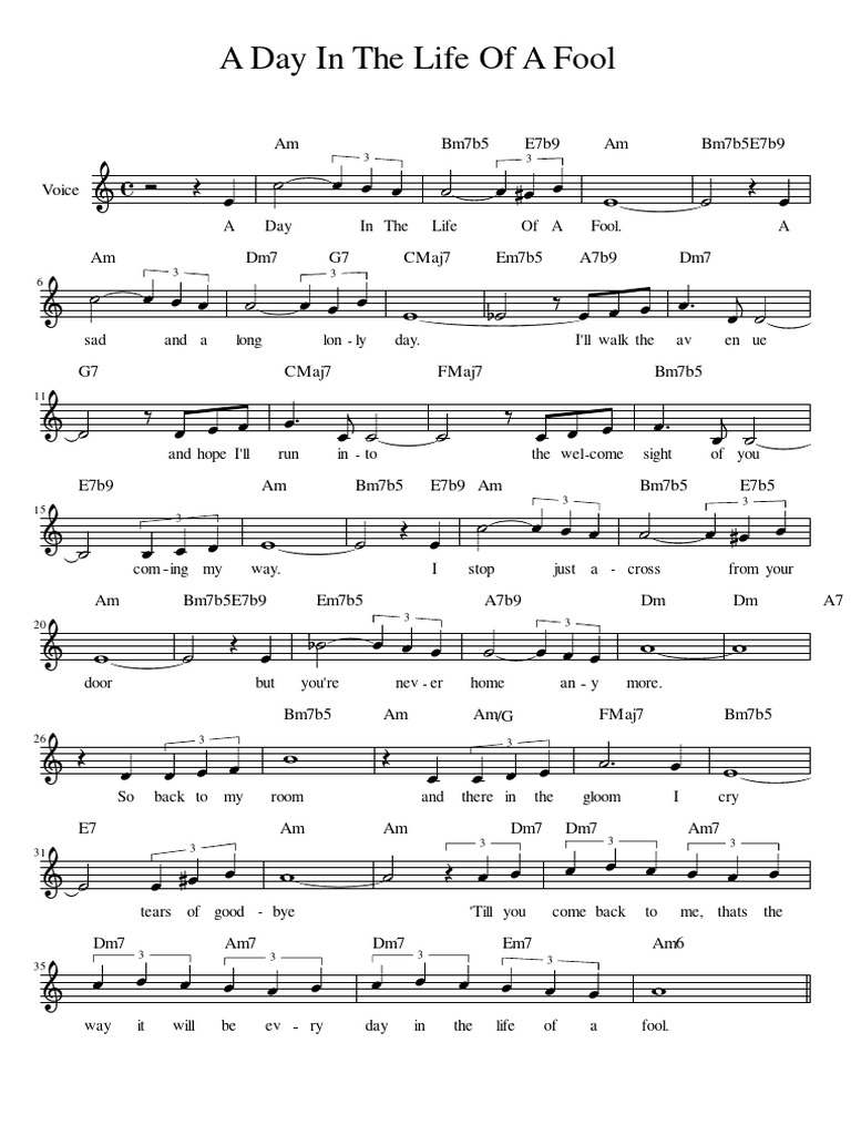 A Day in The Life of A Fool | PDF