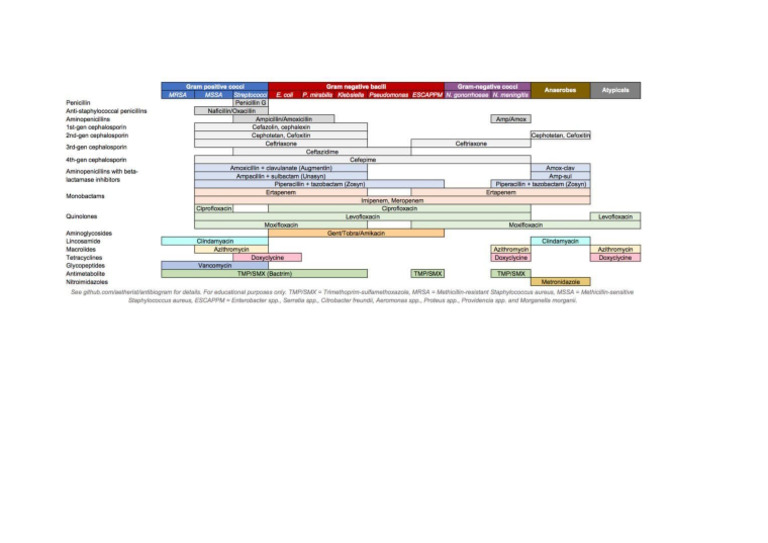 Espectro de Antibióticos | PDF