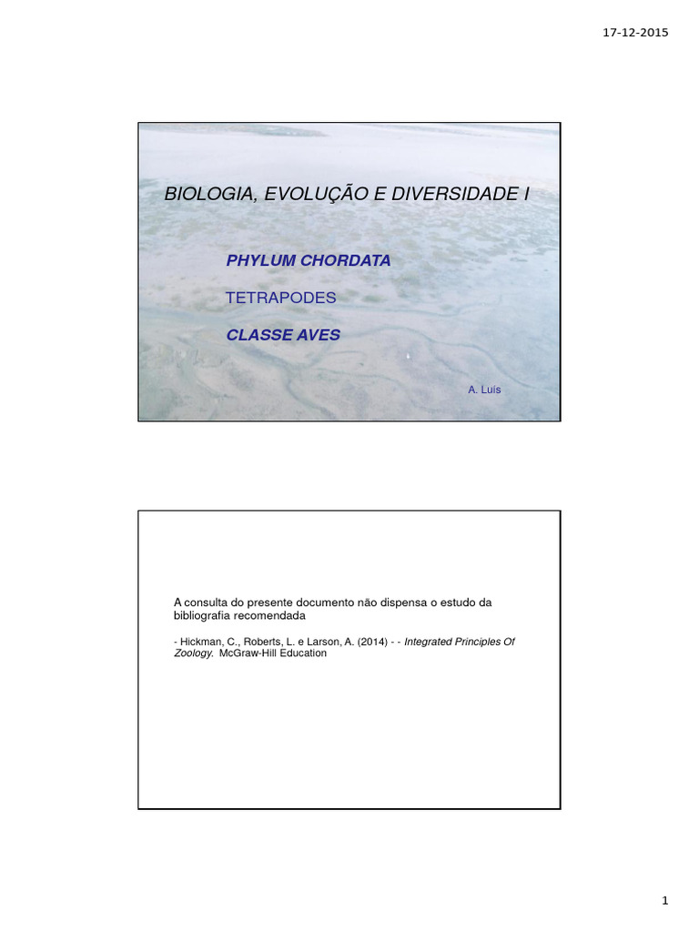 16 Aves | PDF | Aves | Zoologia